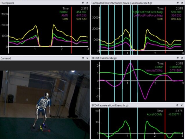 Advanced Motion Capture Biomechanical Software Solutions