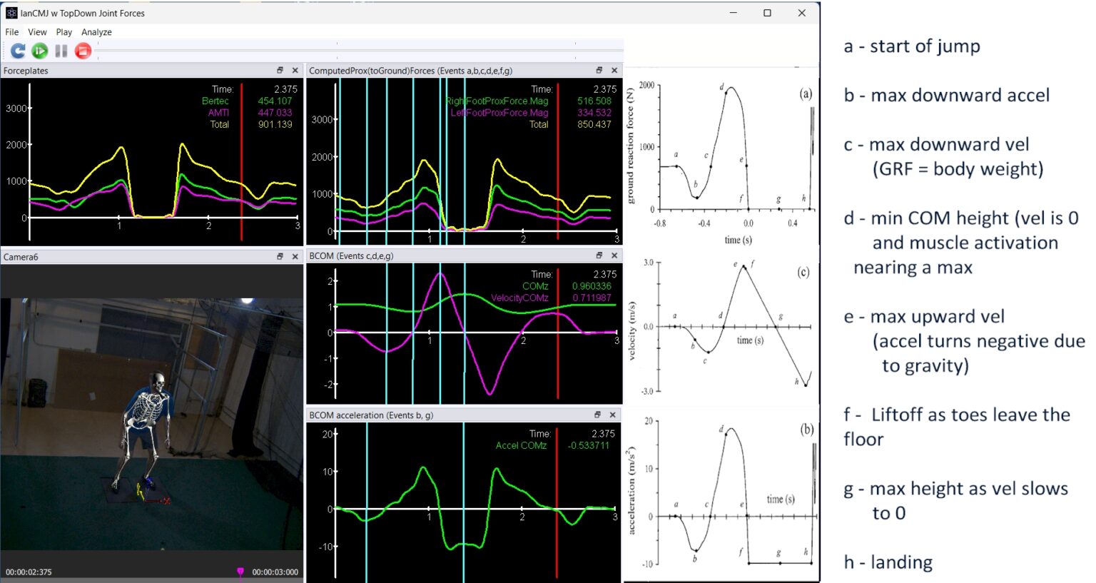 Markerless Motion Capture